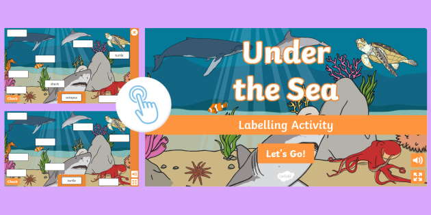 Interactive Under the Sea Labelling Activity | Twinkl Go!