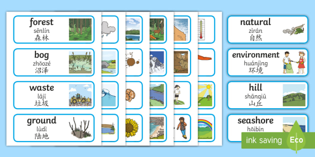 Natural Environment Word Cards - English/Mandarin Chinese/Pinyin - ROI