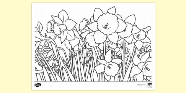 Images of Spring Flowers Colouring Page | Colouring Sheets