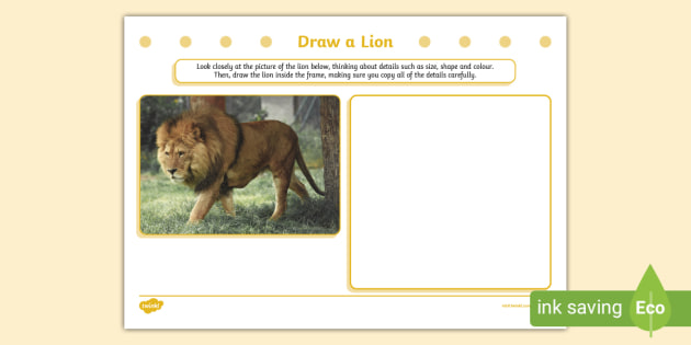 Draw a Lion Art Activity,lion (teacher made)