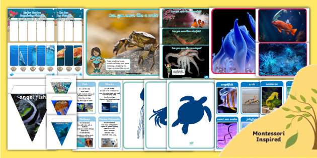 Montessori - Under the Sea Resource Pack (teacher made)