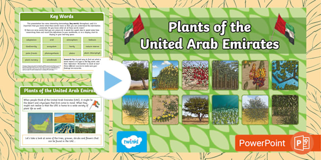 Biology Presentations | twinkl.com.au