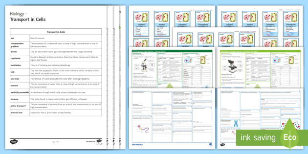 GCSE Cells Revision Pack