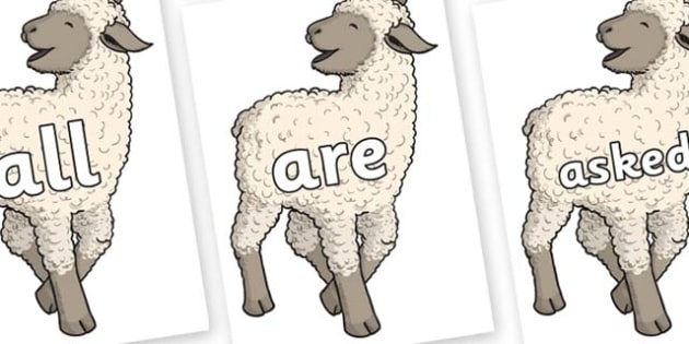 Lamb Resources | twinkl.co.uk