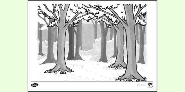FREE! - Ash Tree Forest Colouring | Colouring Sheets