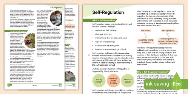 * NEW * Self Regulation | CPD | Twinkl (teacher made)