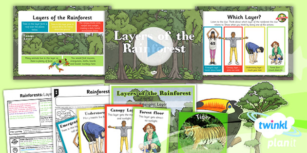 Geography: Rainforests: Layers of the Rainforest Year 3 Lesson Pack 3