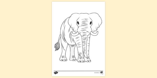 Elephant Colouring | Colouring Sheets