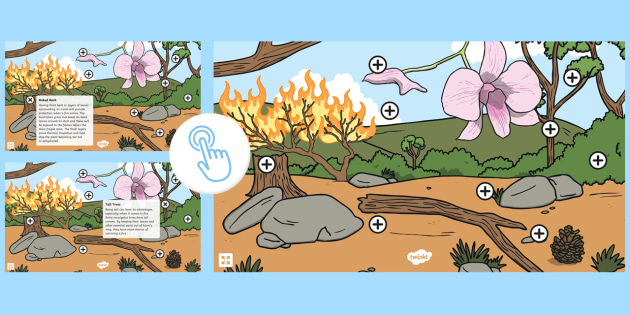 Bushfire Plant Adaptations Hotspots