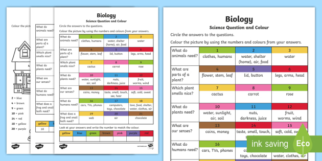 Biological Science Questions and Colouring Worksheet / Worksheets-Australia Biological Science Questions and Colouring Worksheet / Worksheets-Australia