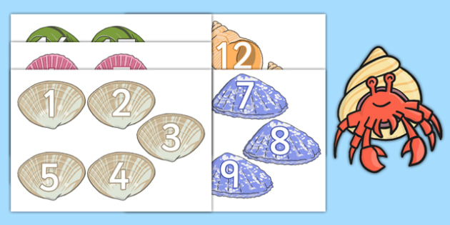 Number Shell Resources Pack | Primary Resources