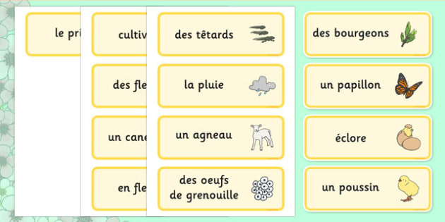 Spring Word Cards French (teacher made)