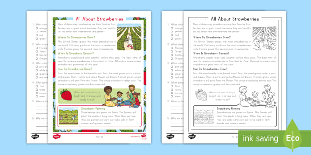 Strawberry Reading Passages Comprehension Questions Writing Prompts 1st ...