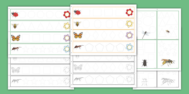 Insects Fine Motor Tracing Cards: Shapes (teacher made)