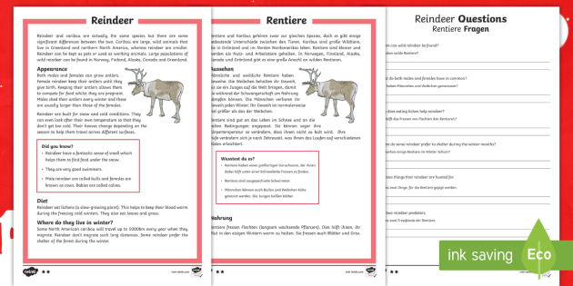 Reading Reindeer | twinkl.com.au