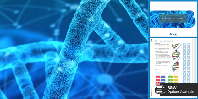 DNA Models Evaluation Pack (teacher made)