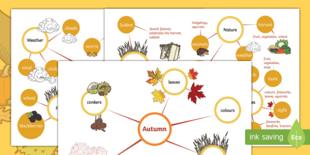 Differentiated Autumn Concept Maps Worksheet / Worksheet, worksheet, harvest