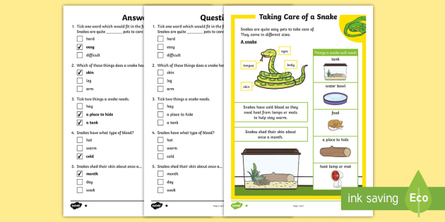 KS1 How to Look After a Snake Differentiated Reading Comprehension Activity