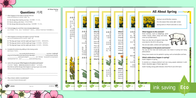 Spring Differentiated Reading Comprehension Activity - English/Mandarin