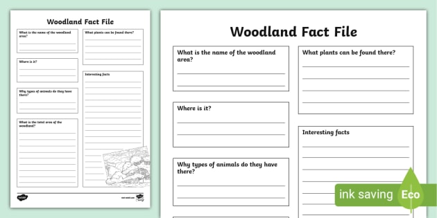 * NEW * Woodland Fact File Template (teacher made)