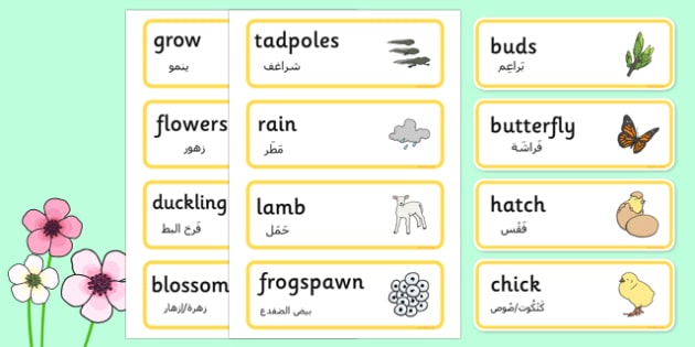 Spring Word Cards Arabic Translation