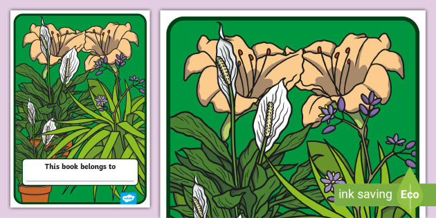 FREE! - Lily Book Cover (teacher made)