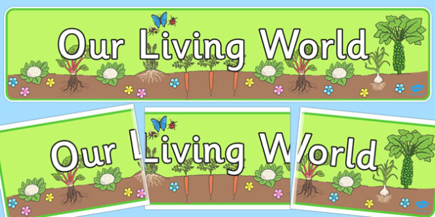 👉 Our Living World Display Banner (teacher made)