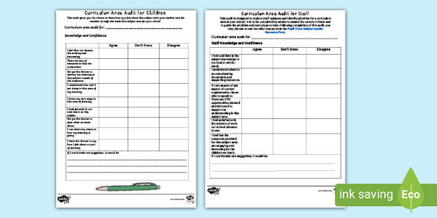 Pupil Voice Subject Leader Curriculum Audit (Teacher-Made)