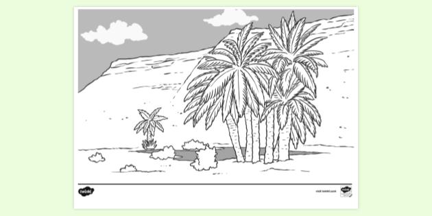 Oasis Colouring Sheet