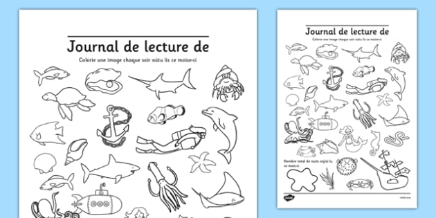 Journal de lecture de Français
