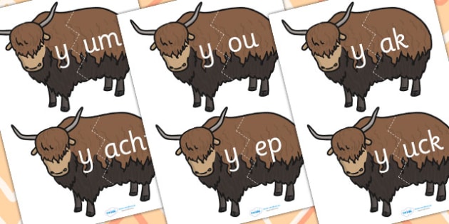 y Sound And Vowel Animal Jigsaw (teacher made)