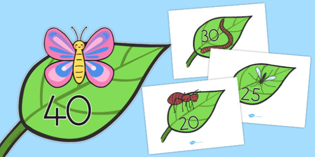 Numbers 20-40 on Minibeasts (teacher made)