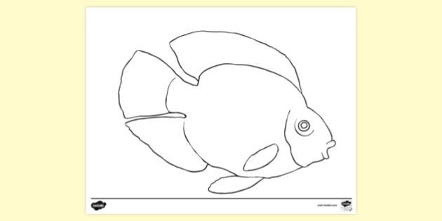 Realistic Fish Colouring Page | Colouring Sheets