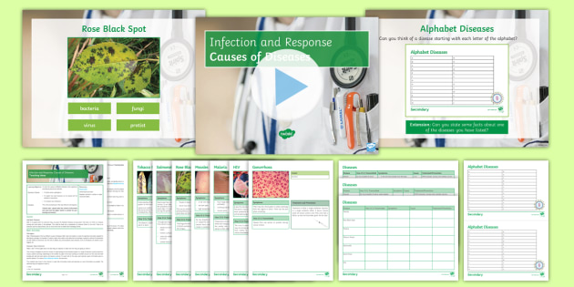 AQA Infection and Response Lesson 2: Causes of Diseases