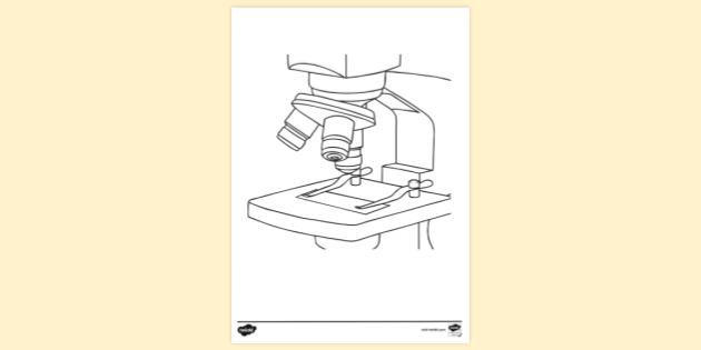 FREE! - Slide on Microscope Colouring Sheet Colouring | Colouring Sheets