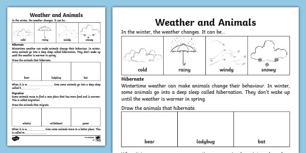 Climatogram Worksheet English Worksheets: Wild Animals, Location, New