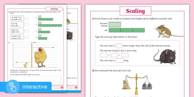 👉 Interactive PDF Y3 WRM Spring 1: Scaling (Teacher-Made)