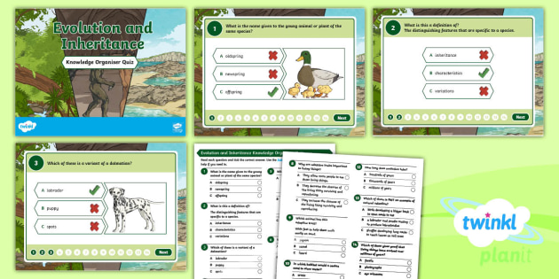 Evolution and Inheritance: Y6: Knowledge Organiser Quiz