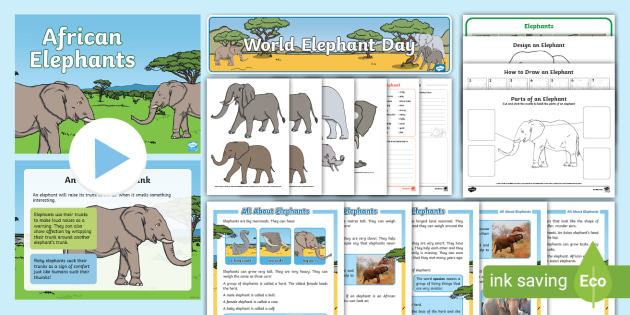 World Elephant Day Activity Pack - KS1 - Twinkl