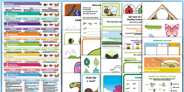 EYFS Minibeasts Activity Planning and Continuous Provision