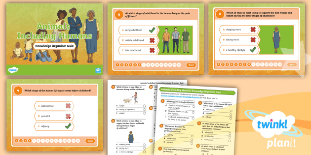 Year 5 Animals Including Humans Revision Activity Mat