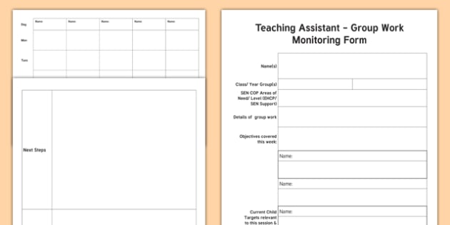 Teaching Assistant Group Work Monitoring Pro Forma