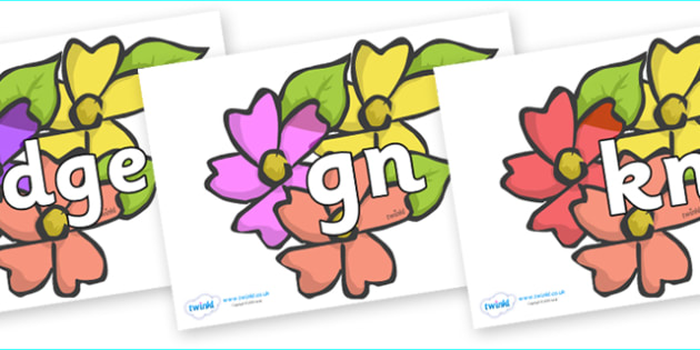 Flowers Displays | twinkl.co.uk