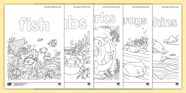 Sea Animals Colouring Pages PDF | Twinkl Originals