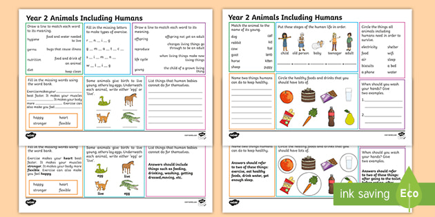 KS1 Year 2 Animals Including Humans Revision Activity Mat