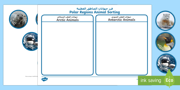 Polar Regions Animal Sorting Activity English/Arabic