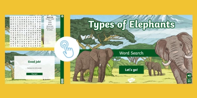 Types of Elephants Word Search (teacher made)