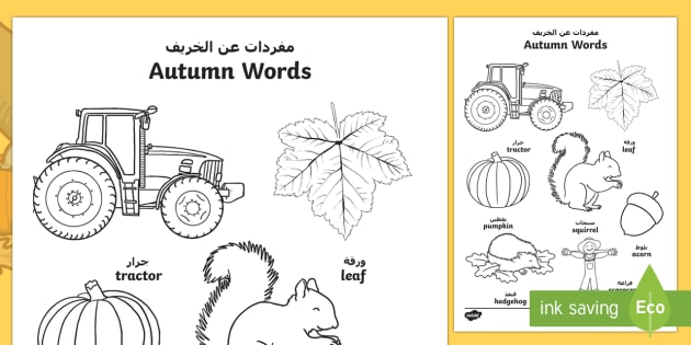 Autumn Themed Words Colouring Worksheet / Worksheet - Arabic/English ...