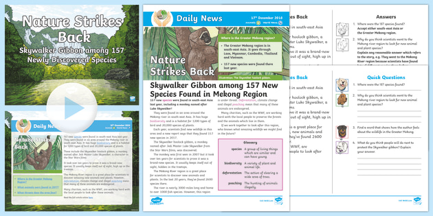LKS2 New Species Discovered Daily News Resource Pack