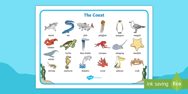 Under Eights Week: The Coast Word Mat (teacher made)